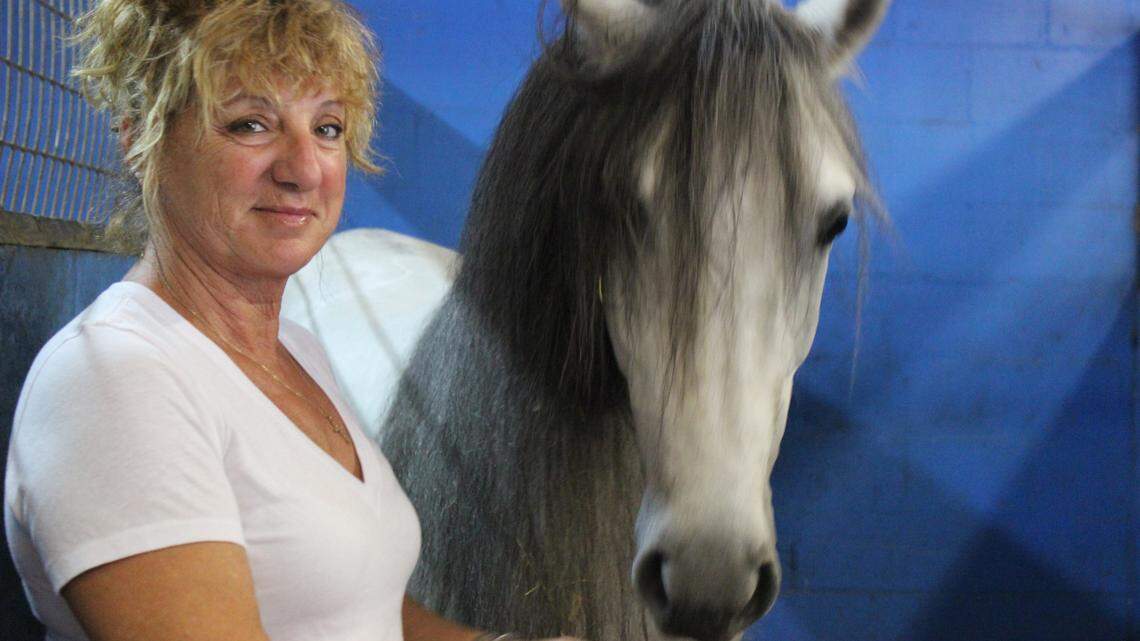 Gabriella Herrmann of Lipizzan Stallions fame dies | Bradenton Herald